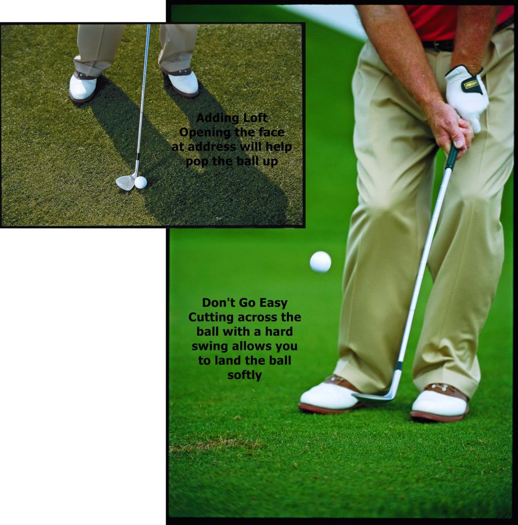 My Best Tip Ever - Watson Links