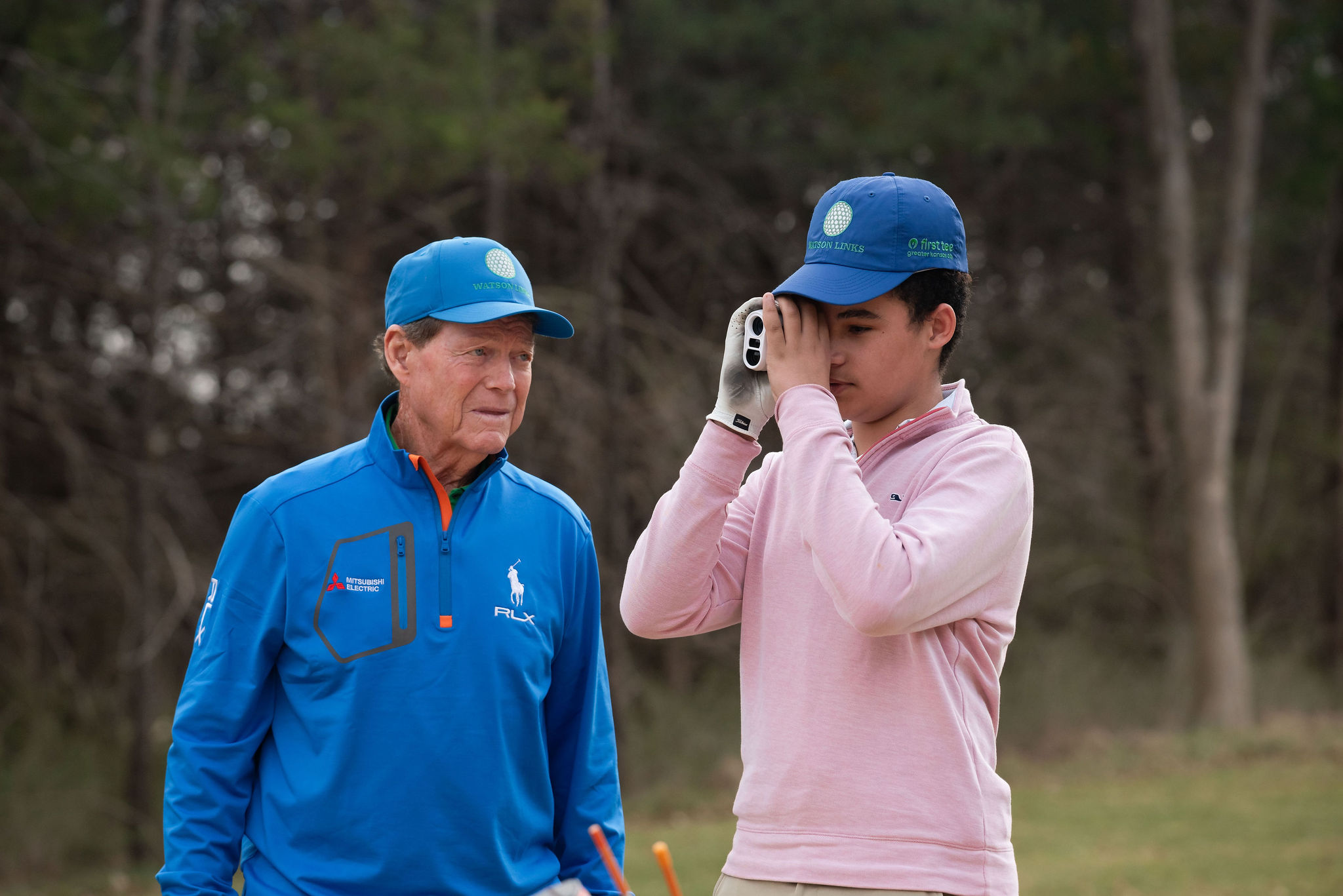 How It Works - Watson Links